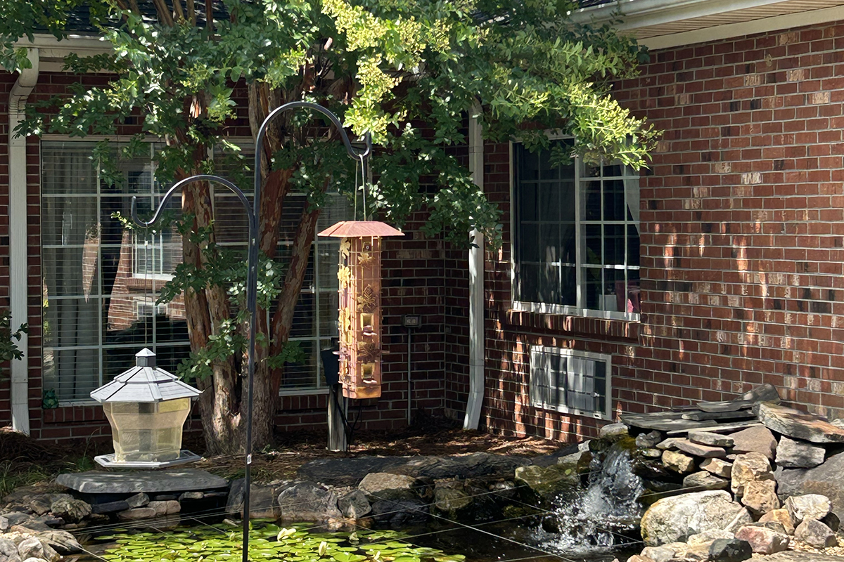 Lifestyle – Trinity Elms Clemmons